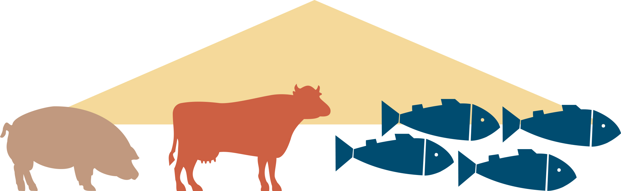 Increasing demand for marine ingredients as feed – European Fishmeal