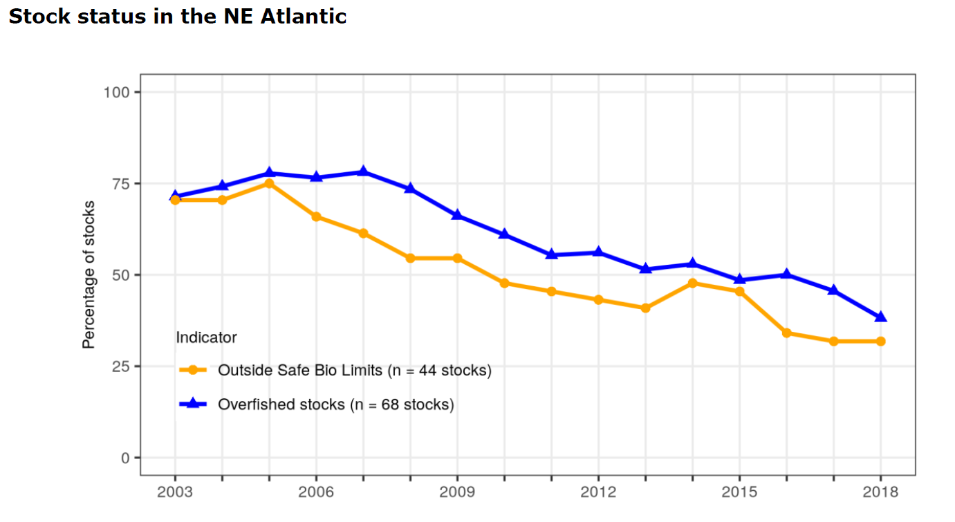 New STECF research shows a positive trend in fish stocks – EFFOP ...