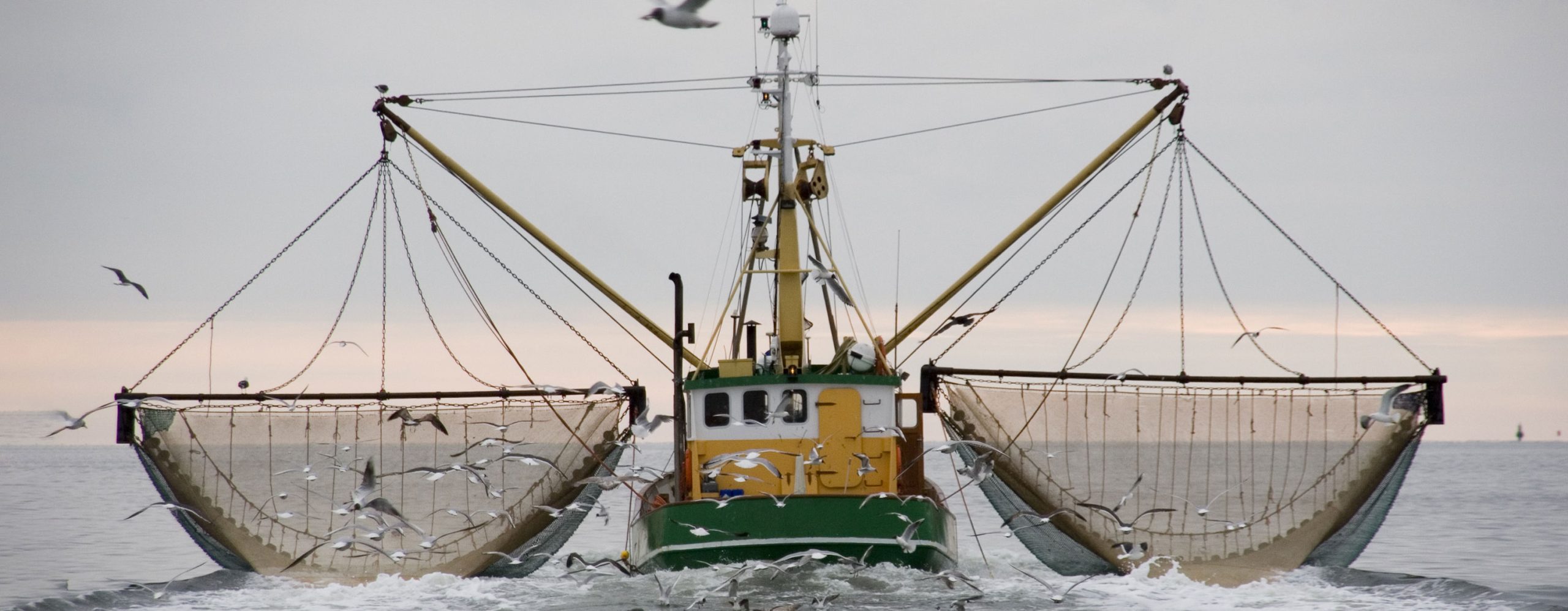 MSC Board Approves New Fisheries Standard – European Fishmeal