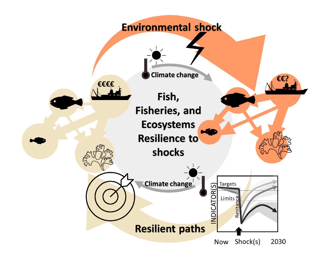 A call for adaptive, flexible and well informed fisheries management ...