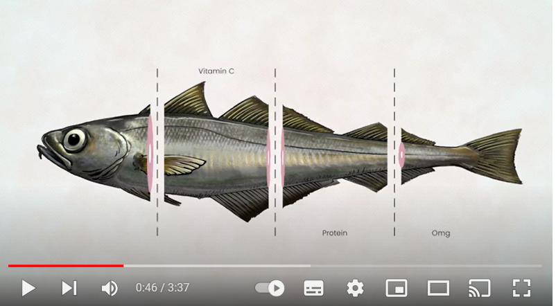 Why are small pelagic fish so important for global food production ...